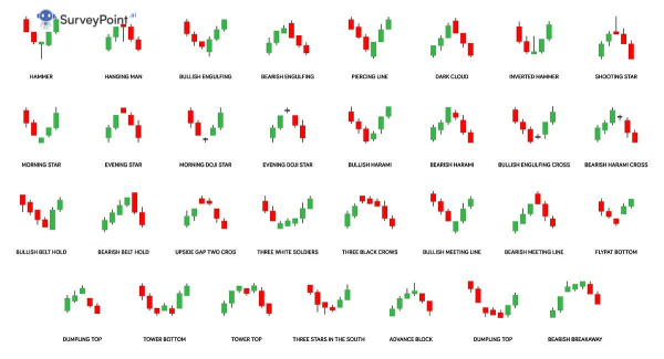 Chart Type Selection Made Easy: 8 Expert Tips for Data Presentation ...